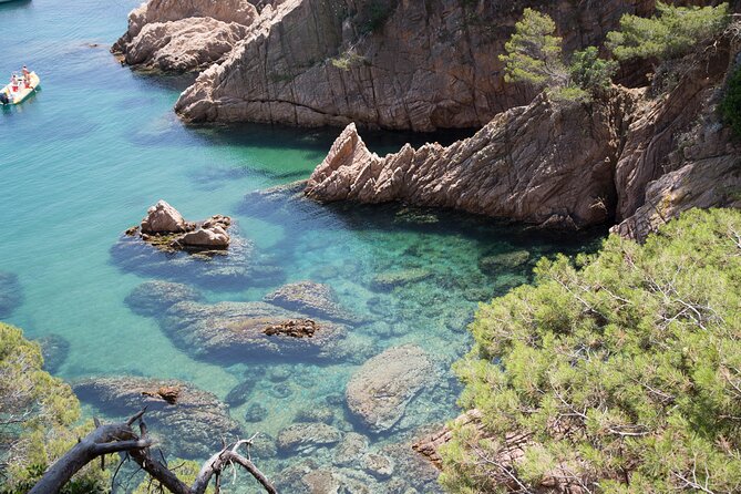 Costa Brava Day Adventure: Trails, Snorkel, Cliff-Jump & Meal - Who Would Enjoy This Tour?