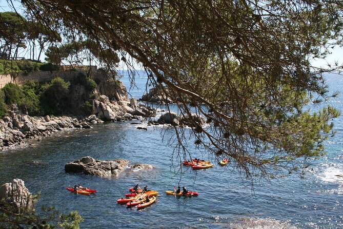 Costa Brava Guided Kayak and Snorkeling Excursion in Playa De Aro - Meeting Point and Transportation Details