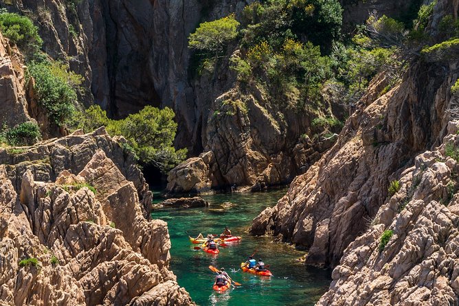 Costa Brava Kayaking and Snorkeling Small Group Tour with Lunch - Authentic Experiences and Traveler Feedback
