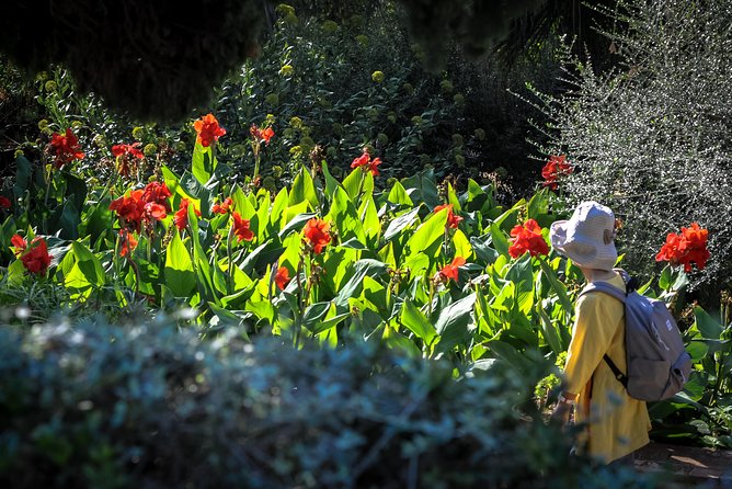 Costa Brava & Medieval Village Small Group Tour Including Lunch - The Sum Up