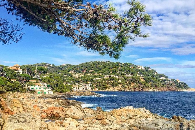 Costa Brava Private Experience by Car With Local Expertise - Indulging in the Flavors of the Costa Brava