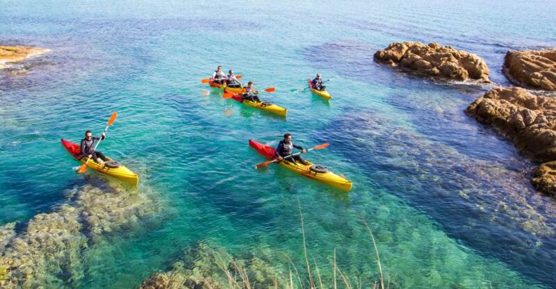 Costa Brava: Sea Caves Kayaking and Snorkeling Tour - What Makes This Tour Stand Out?