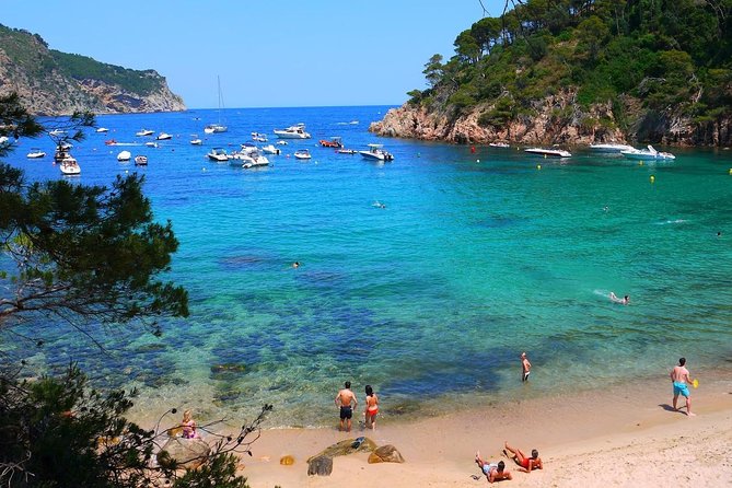 Costa Brava Small Group Tour Review - Guides and Personalized Experience