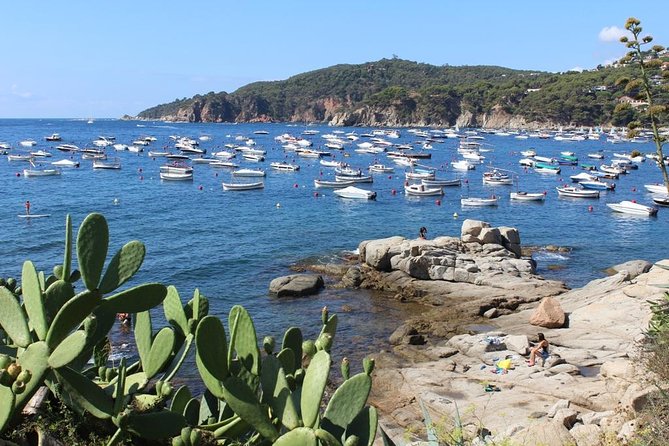 Costa Brava Typical Towns Full Day Tour From Barcelona - Customer Feedback