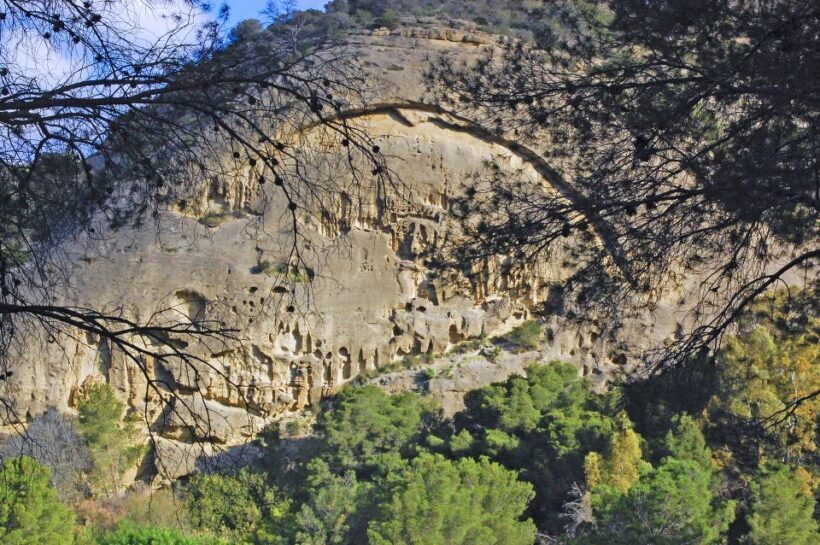 Costa del Sol: Caminito del Rey Guided Trip - FAQ