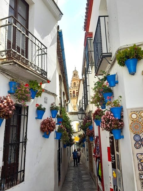 Costa del Sol: Private trip to Cordoba - An Introduction to the Experience