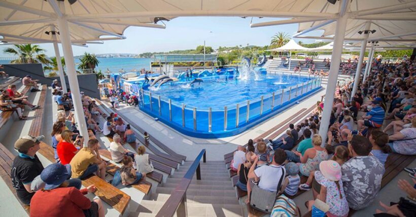 Costa d'en Blanes: Entry Ticket for Marineland Mallorca - Key Points