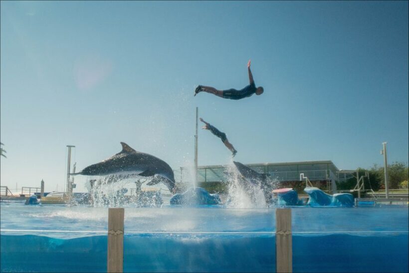 Costa d'en Blanes: Entry Ticket for Marineland Mallorca - FAQ