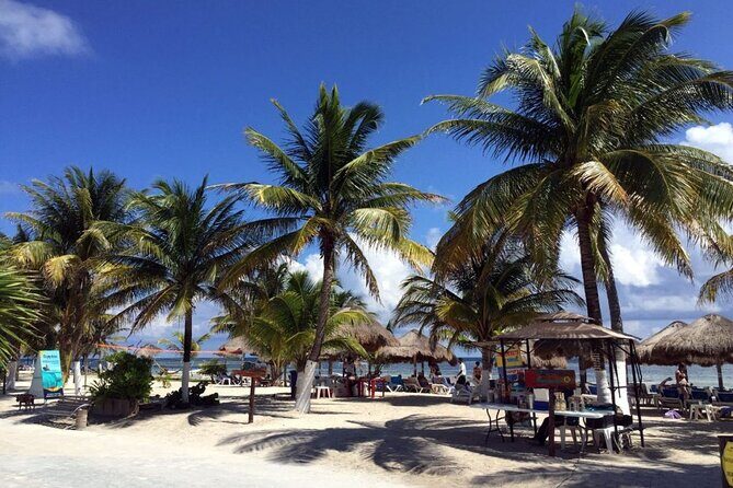 Costa Maya All Included Beach Break from Cruise Port - The Booking and Transportation Experience