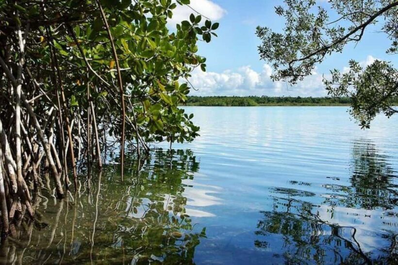 Costa Maya: Bacalar Seven Color Lagoon Kayak Adventure - Who Should Consider This Tour?