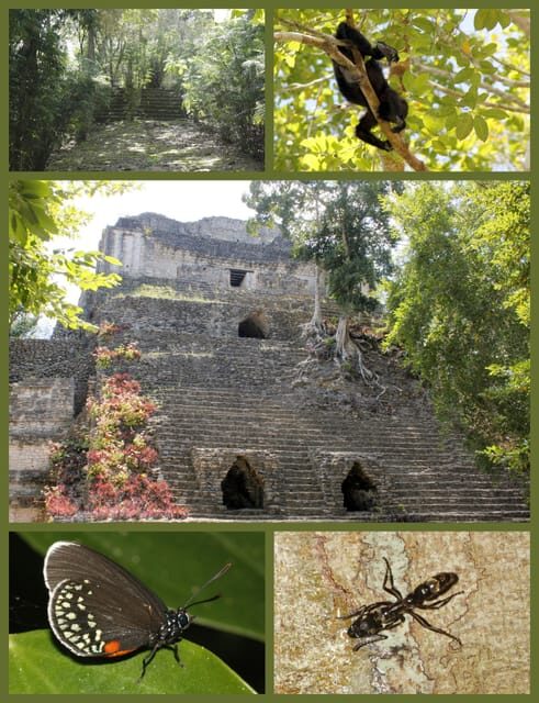 Costa Maya: Chacchoben Mayan Temples - An In-Depth Look at the Tour Experience