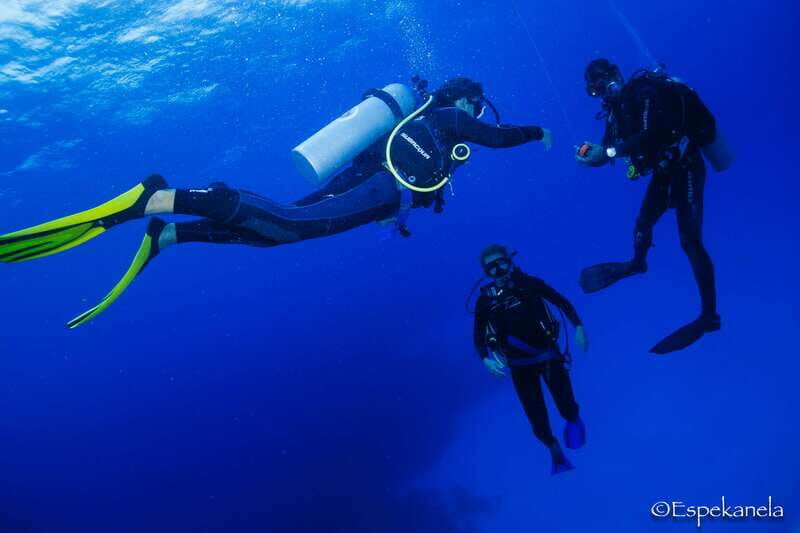 Costa Maya: Discover Scuba Diving Reef Experience - A Closer Look at the Costa Maya Scuba Experience