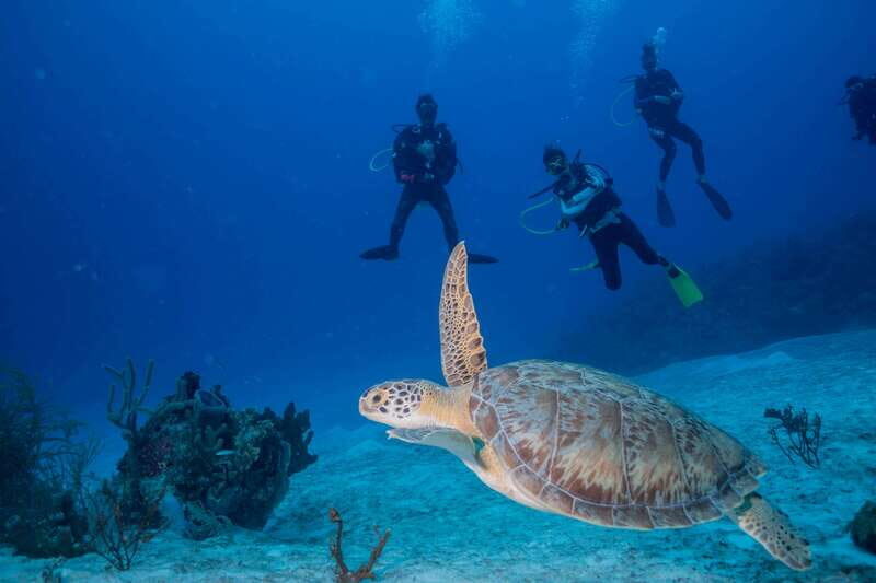 Costa Maya: Discover Scuba Diving Reef Experience - Final Thoughts
