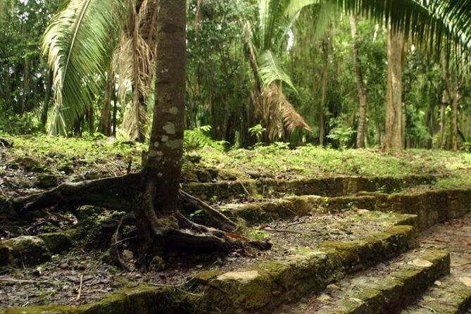 Costa Maya Shore Excursion: Chacchoben Day Trip - FAQs