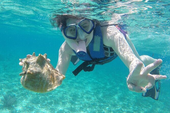 Costa Maya Snorkel Tour - Introduction: A Practical Snorkeling Choice in Costa Maya