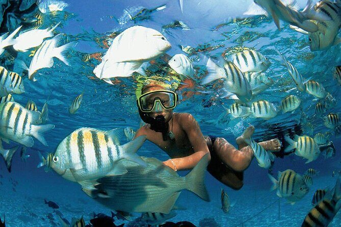 Costa Maya Snorkel Tour - Frequently Asked Questions