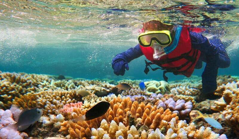 Costa Maya: Snorkeling Adventure by Boat with Photos - The Experience at a Glance
