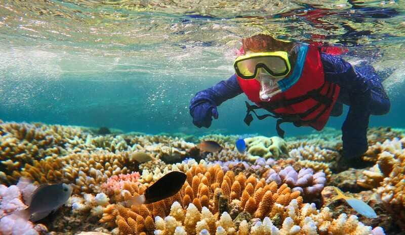 Costa Maya: Snorkeling Adventure by Boat with Photos - Practical Details: What You Need to Know