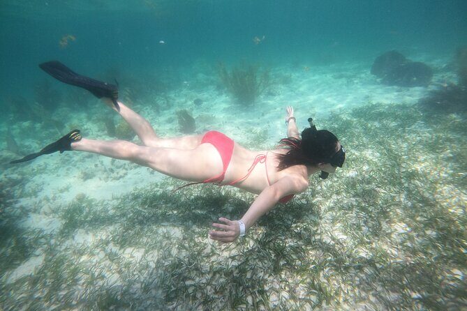 Costa Maya, snorkeling on the reef with fish, looking for turtles - The Authentic Touch and Cultural Respect