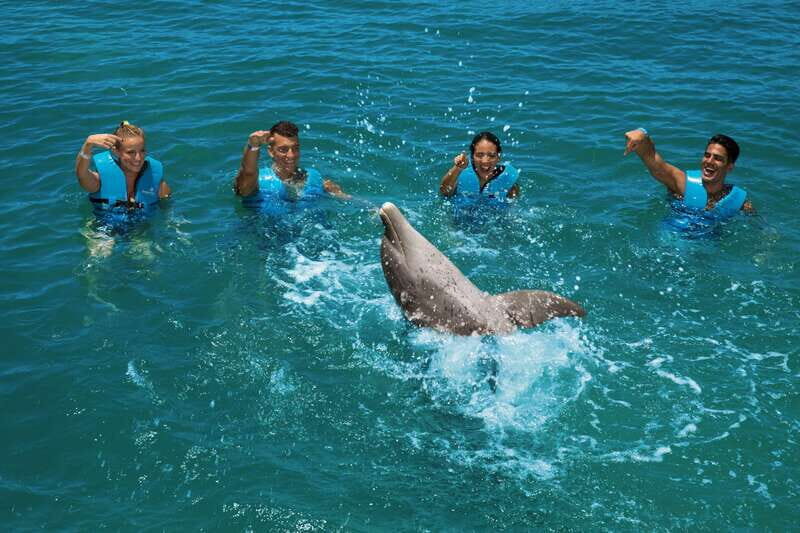 Costa Mujeres: Swim with Dolphins - An Authentic Dolphin Experience in Quintana Roo
