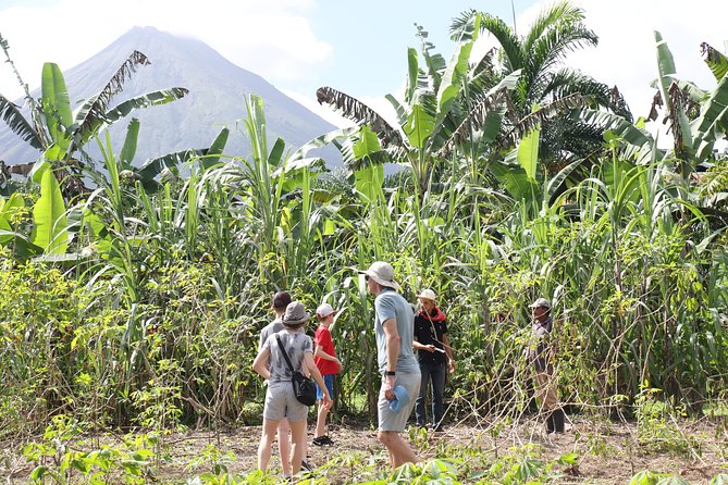 Costa Rica Descents Organic Farm - Accessibility and Inclusivity