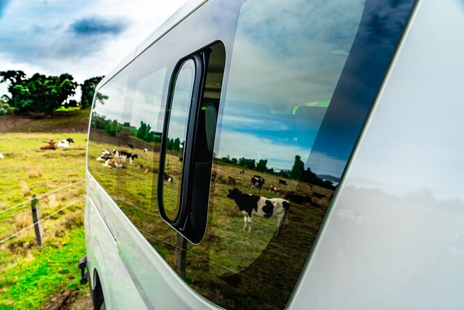 Costa Rica Private Airport Departure Transfer - Accessibility and Comfort Features