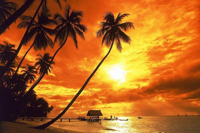 Costambar - Puerto Plata Airport - What to Expect from Your Shuttle Service