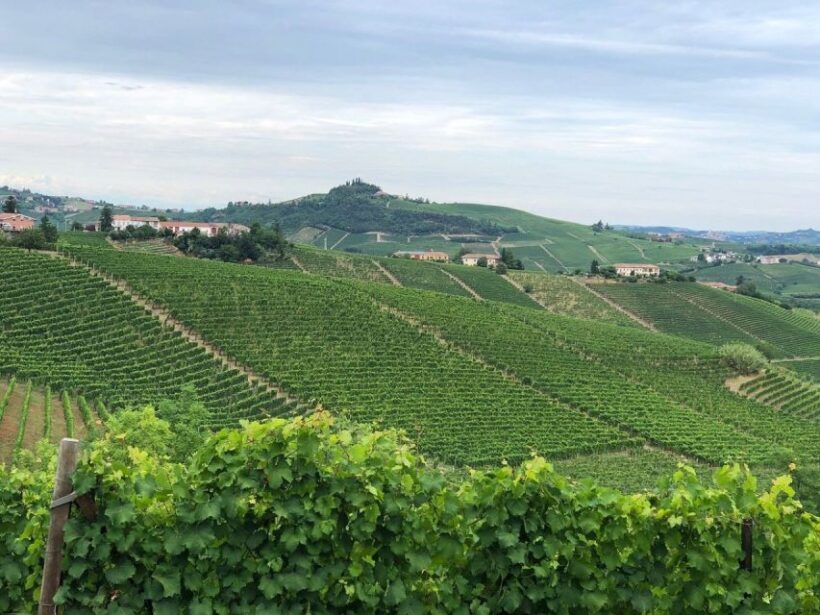 Costigliole d'Asti: Guided Walking Tour with Wine Tasting - Key Points