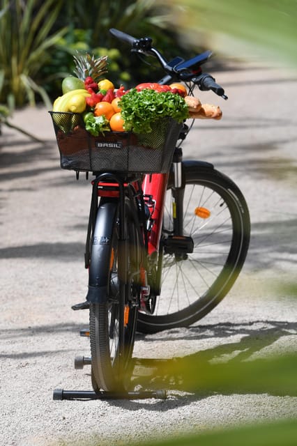 Côte d'Azur: E-Bike Rental - Key Points