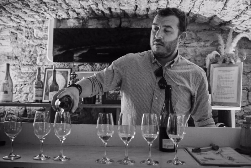 Côte de Beaune and Côte de Nuits : Private Full day Winetour - Key Points