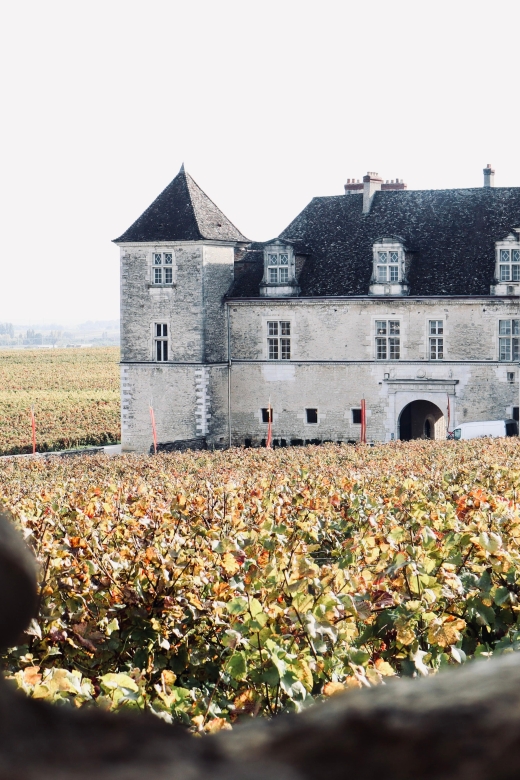 Côte de Beaune and Côte de Nuits : Private Full day Winetour - What Makes This Tour Stand Out?