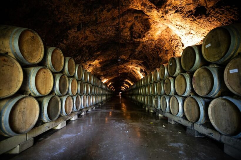 Côte de Beaune Half-Day Wine Tour from Dijon - A Closer Look at the Itinerary
