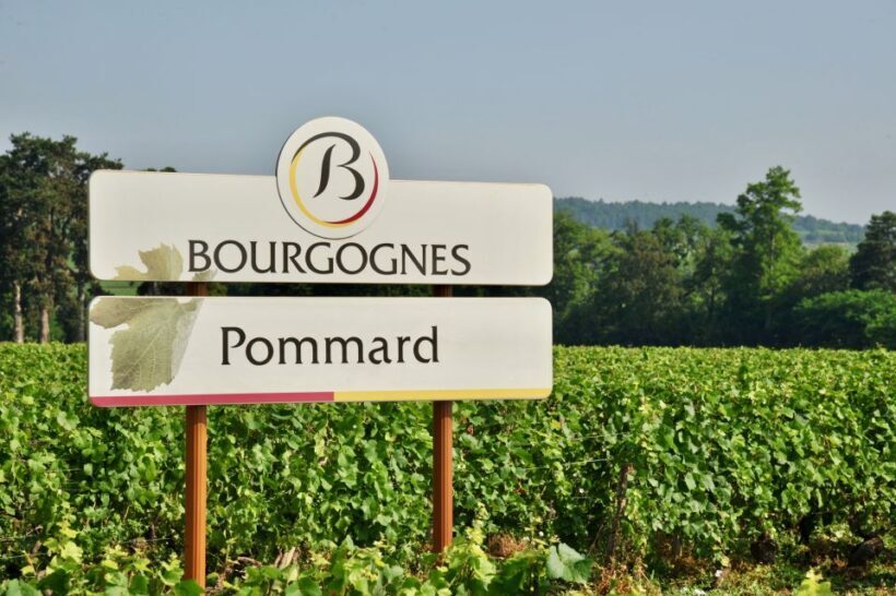 Côte de Beaune Private Local Wineries and Wine Tasting Tour - The Itinerary in Detail