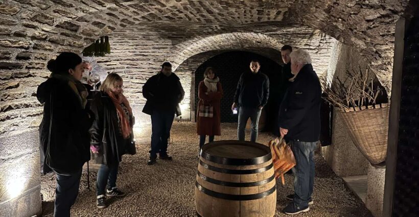 Côte de Beaune Private Local Wineries and Wine Tasting Tour - The Advantages of a Private Tour