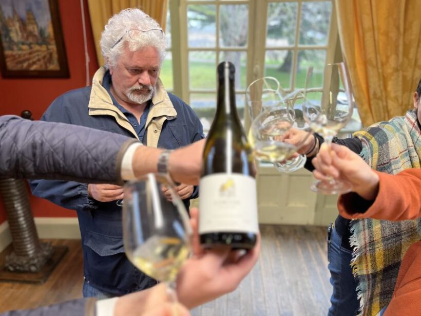 Côte de Beaune Private Local Wineries and Wine Tasting Tour - Final Thoughts: Is It Worth It?