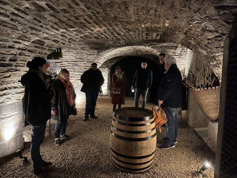 Côte de Nuits Private Local Wineries and Wine Tasting Tour - An In-Depth Look at the Côte de Nuits Private Winery Tour
