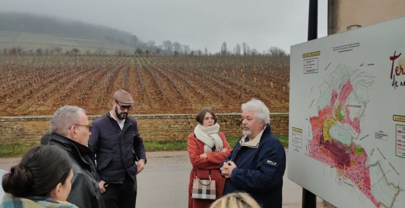 Côte de Nuits Private Local Wineries and Wine Tasting Tour - The Sum Up