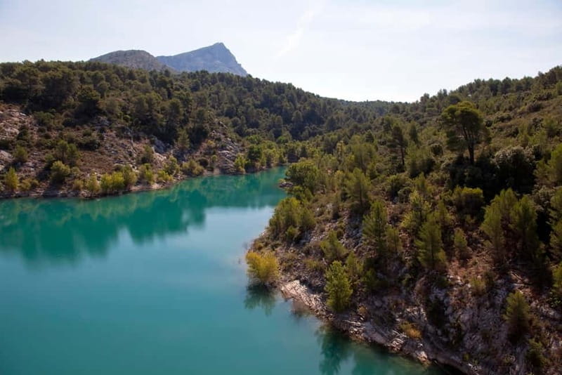 Coteaux d'Aix: Ste Victoire Wine Tour & Cezanne route - Authentic Experiences & Traveler Feedback