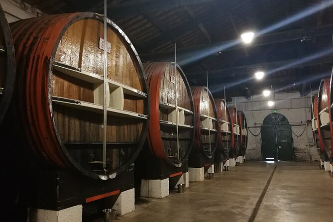 Côtes de Provence Wine Day Tour : 7 hours - Who Should Consider This Tour?