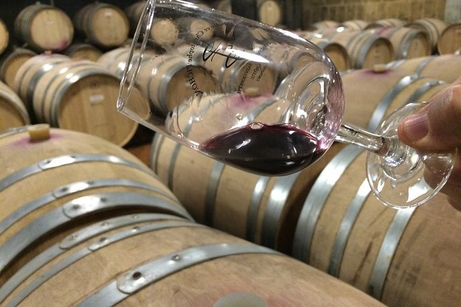 Cotes du Rhone Wine Tour - Private Tour - Full Day From Lyon - Who Will Love This Tour?