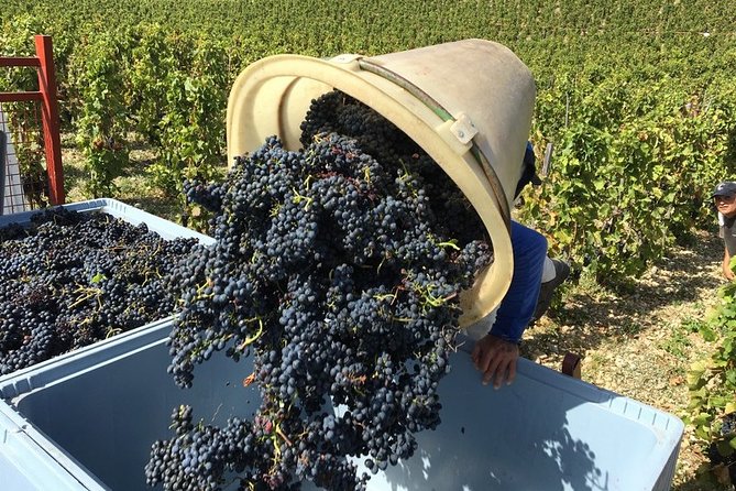 Cotes du Rhone Wine Tour - Private Tour - Full Day From Lyon - FAQ