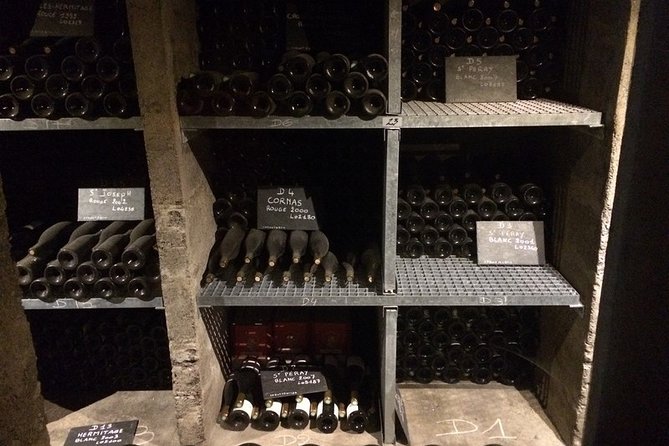 Cotes du Rhone Wine Tour - Private Tour - Full Day From Lyon - Final Thoughts