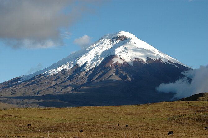 Cotopaxi Volcano Quest! - Making the Most of Your Adventure