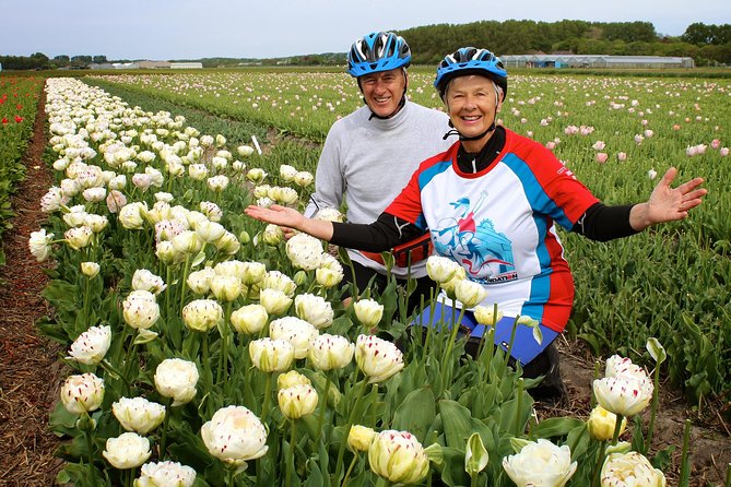 Country of Tulips Tour - Final Thoughts: Who Is This Tour Perfect For?