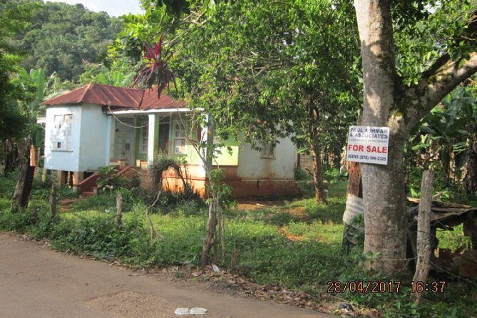 Country Side and Sight Seeing with Dunns River Falls - Value and Cost Analysis