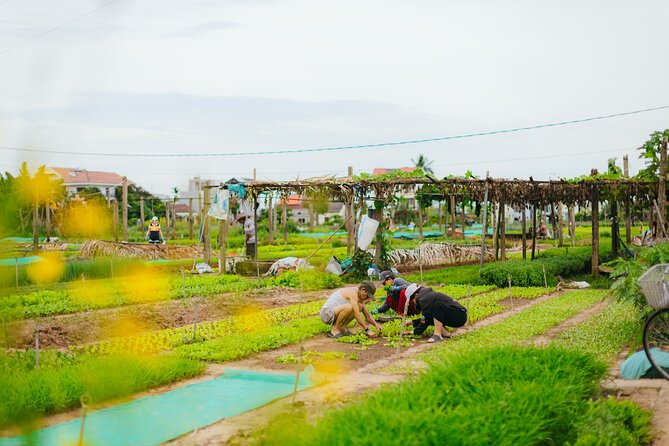 Countryside Adventure Private Tour by Electric Car - Final Thoughts