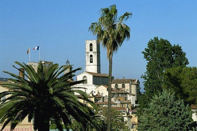 Countryside and Wine Tasting Full-day tour from Cannes - Final Thoughts