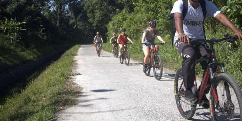 Countryside Bike Ride to Golong Village and Lingsar Temple - Countryside Bike Ride to Golong Village and Lingsar Temple — An Authentic Lombok Experience