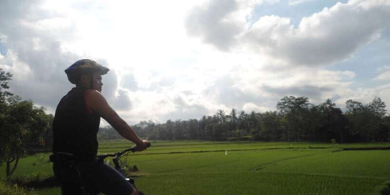 Countryside Bike Ride to Golong Village and Lingsar Temple - What the Reviews Say