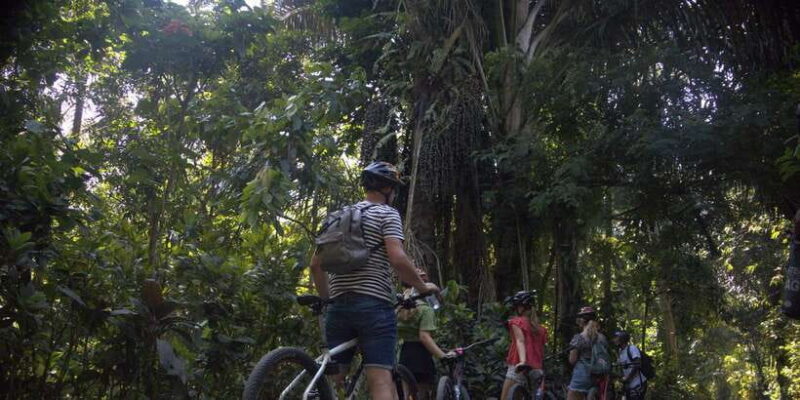 Countryside Bike Ride to Golong Village and Lingsar Temple - Who Will Love This Tour?
